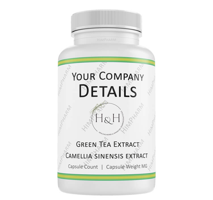 Green Tea Extract Benefits, Uses, & Manufacturing HimPharm
