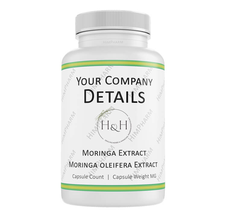 Unlocking Moringa Extract Benefits Uses Manufacturing & More