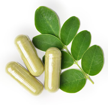 Unlocking Moringa Extract Benefits Uses Manufacturing & More